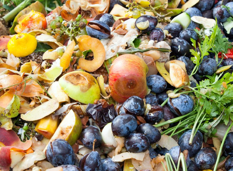 Six Ways to Reduce Food Waste in the Restaurant Supply Chain | Modern ...