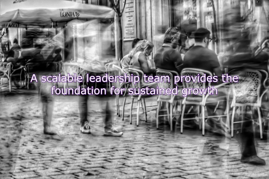 Scaling Smarter: Five Ways to Build Sustainable Leadership | Modern ...