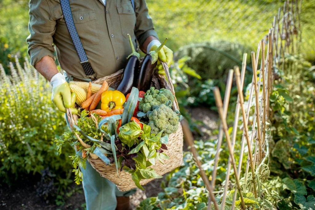 Bridging the Farm-to-Table Expectations with Supply Chain Realities ...